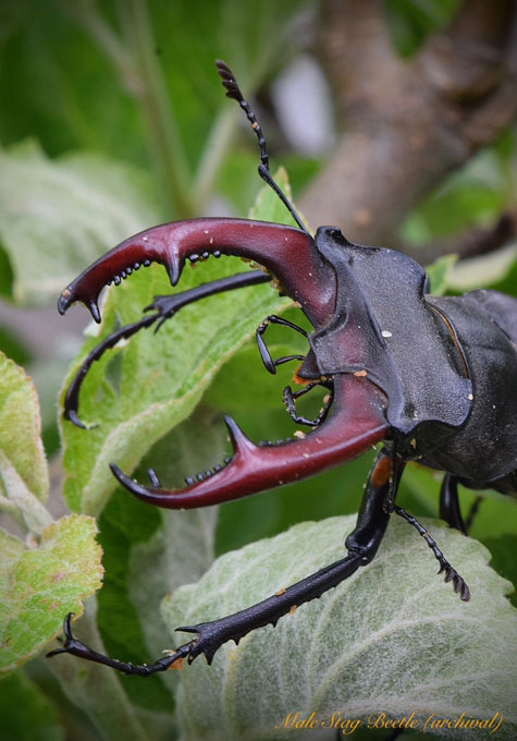 Dorking & District u3a