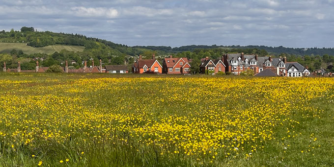 Dorking District U3a
